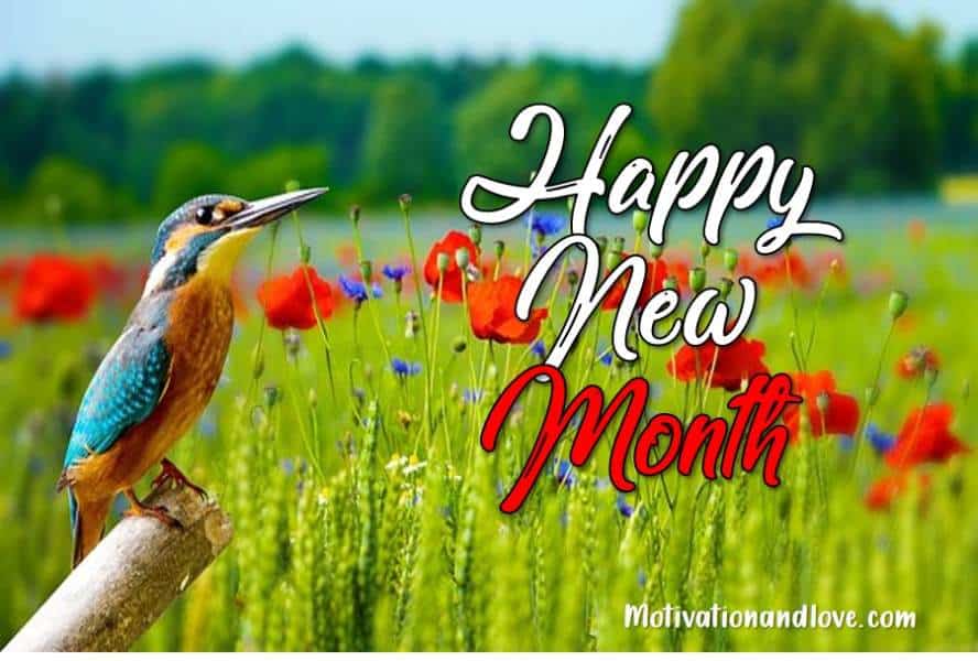 January 2020 Happy New Month My Love Wishes Quotes Motivation And Love January 2020 Happy New Month My Love Wishes Quotes Motivation And Love