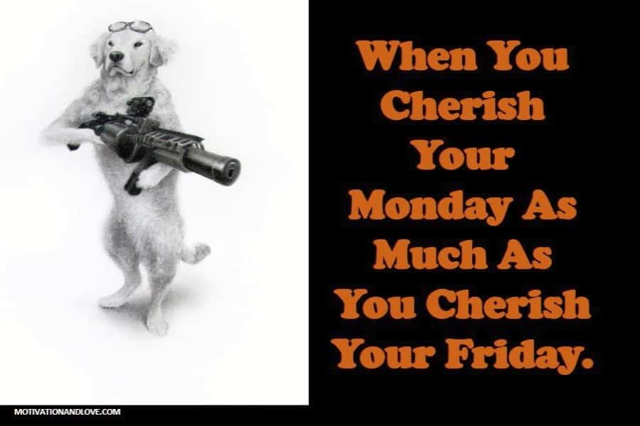 2020 Funny and Inspiring Monday Memes - Motivation and Love