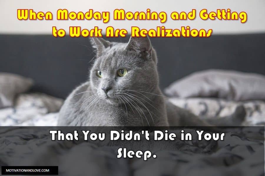 2020 Funny and Inspiring Monday Memes - Motivation and Love