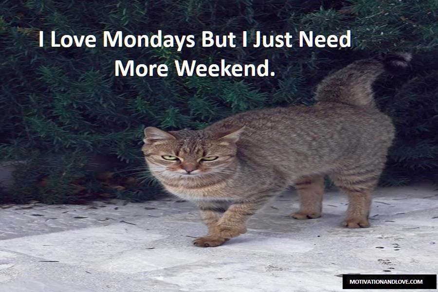 2020 Funny and Inspiring Monday Memes - Motivation and Love