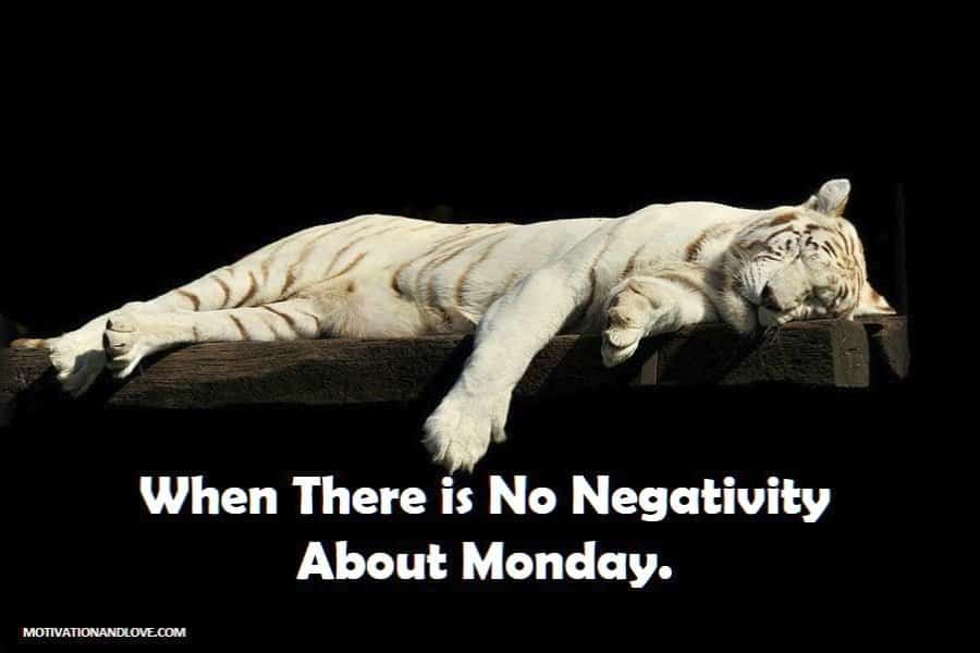 2020 Funny and Inspiring Monday Memes - Motivation and Love