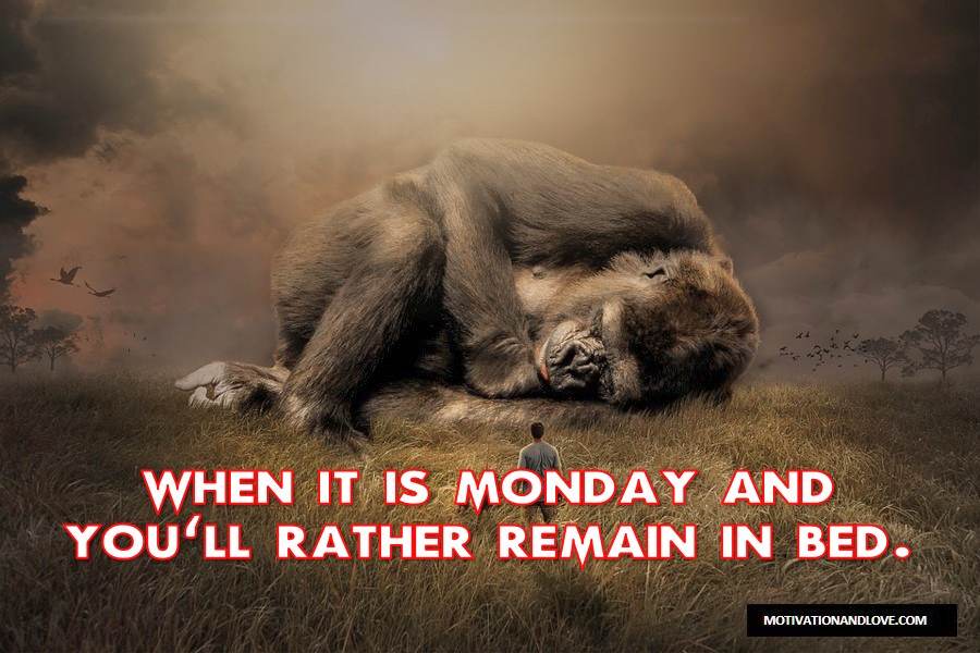 2020 Funny and Inspiring Monday Memes - Motivation and Love