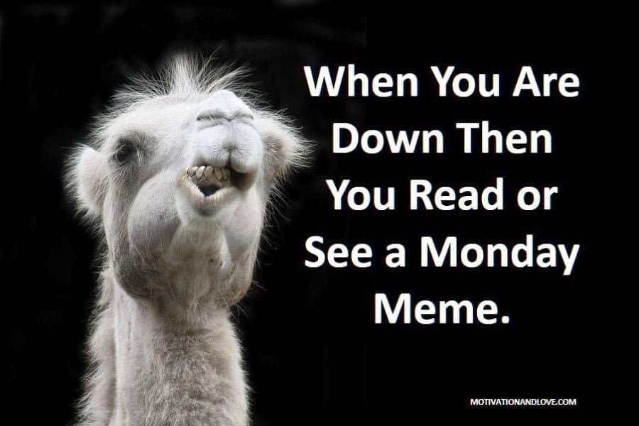 2020 Funny and Inspiring Monday Memes - Motivation and Love