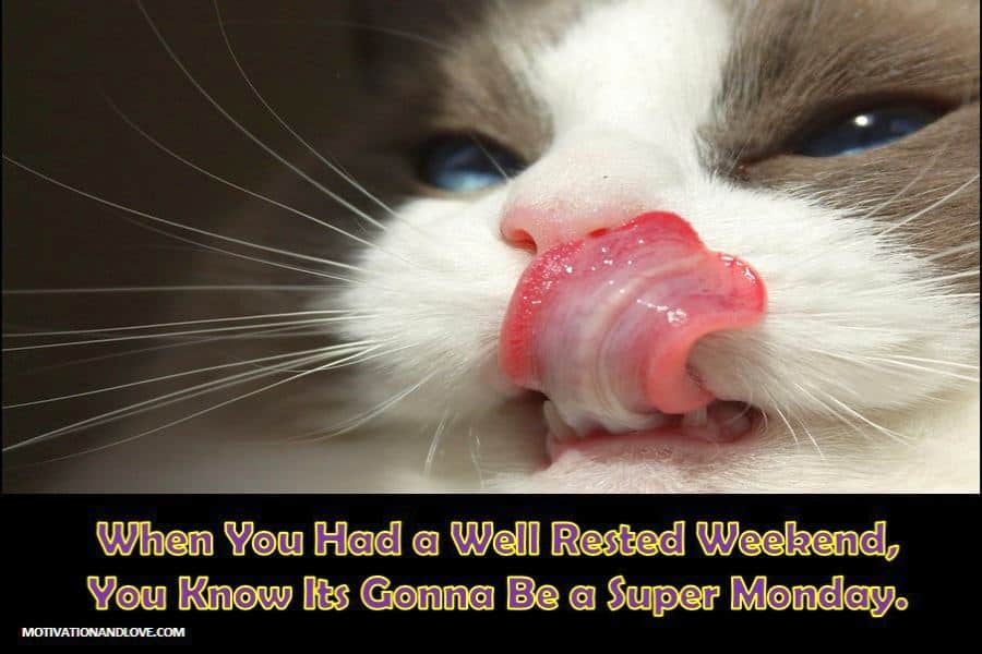 2020 Funny and Inspiring Monday Memes - Motivation and Love