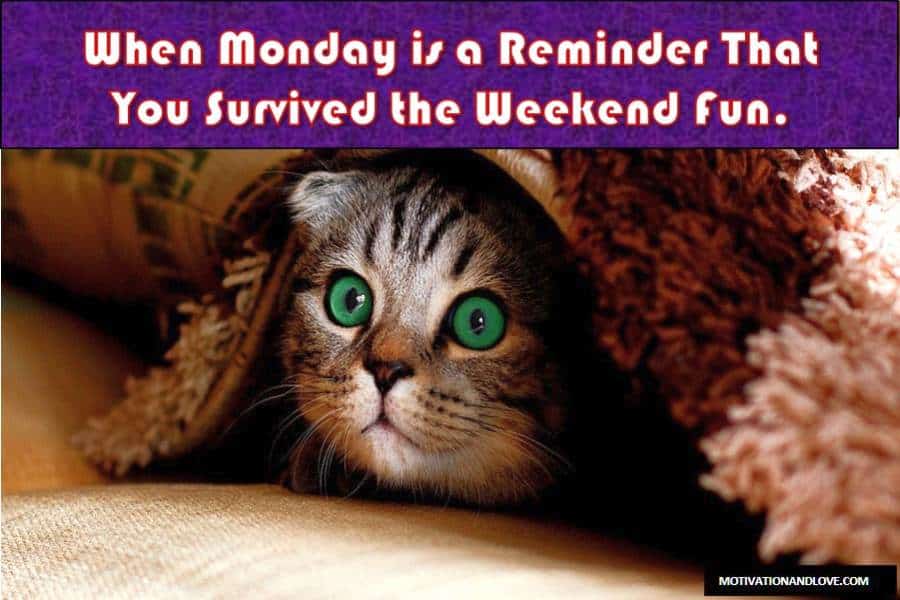 2020 Funny and Inspiring Monday Memes - Motivation and Love