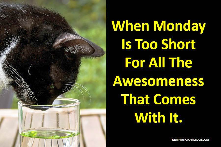 2020 Funny and Inspiring Monday Memes - Motivation and Love