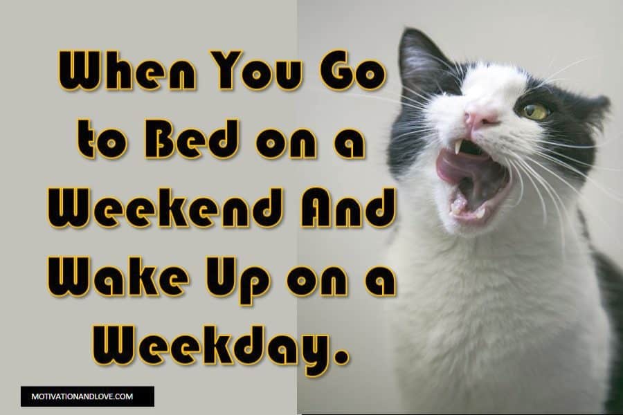 2020 Funny and Inspiring Monday Memes - Motivation and Love