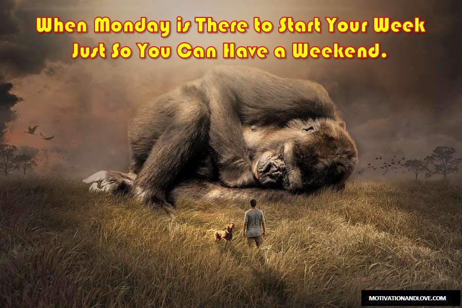 2020 Funny and Inspiring Monday Memes - Motivation and Love