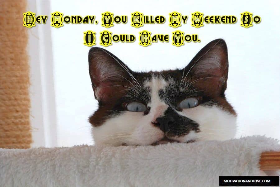 2020 Funny and Inspiring Monday Memes - Motivation and Love