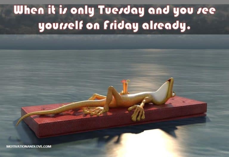 tuesday meme when it is only tuesday - Motivation and Love