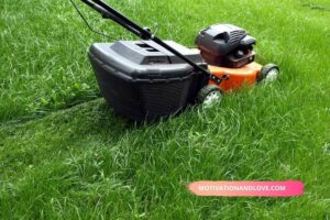 Best Quotes for Lawn Care and Mowing - Motivation and Love