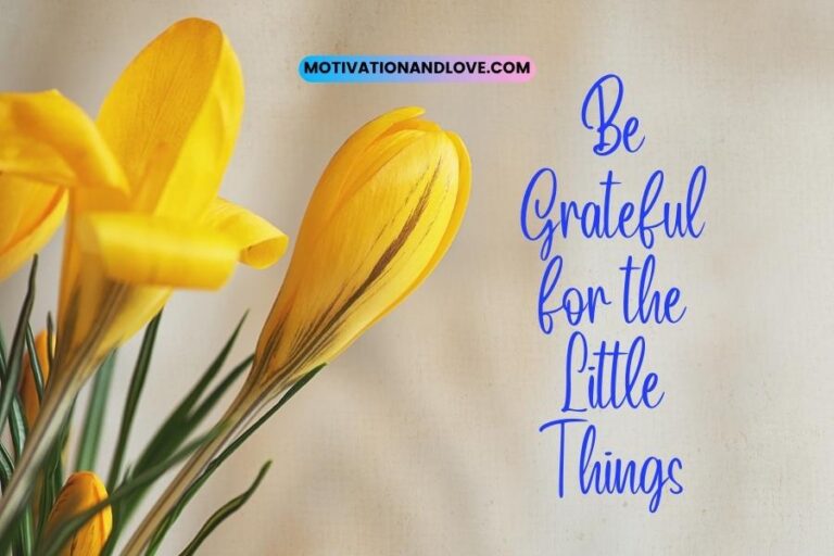 Be Grateful for the Little Things Quotes - Motivation and Love