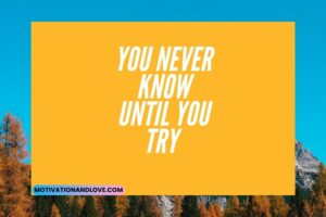 You Never Know Until You Try Quotes - Motivation and Love