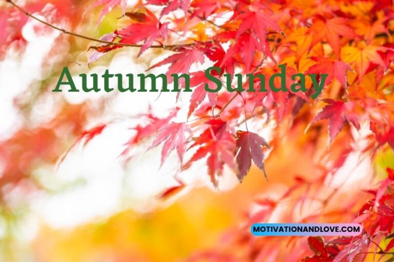 Autumn Sunday Quotes - Motivation and Love