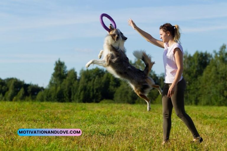 Dog Training Quotes and Sayings - Motivation and Love