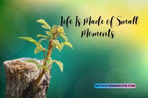 Life Is Made of Small Moments Quotes - Motivation and Love