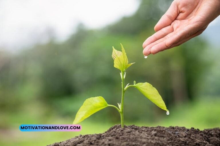 Watching Plants Grow Quotes - Motivation and Love