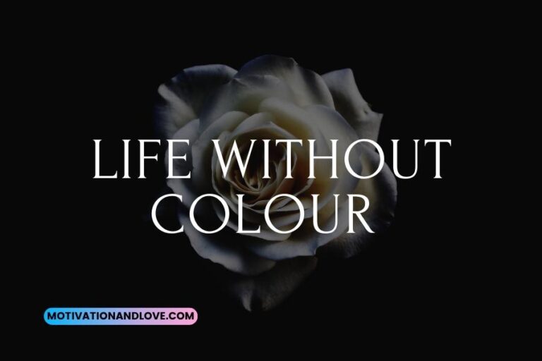 Life Without Colour Quotes - Motivation and Love