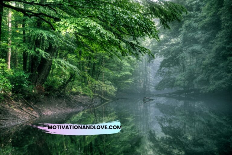 Morning Breeze Quotes - Motivation and Love