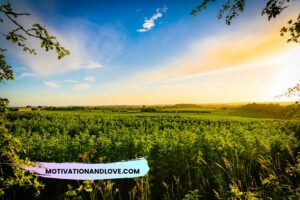 Good Always Prevails Quotes - Motivation and Love