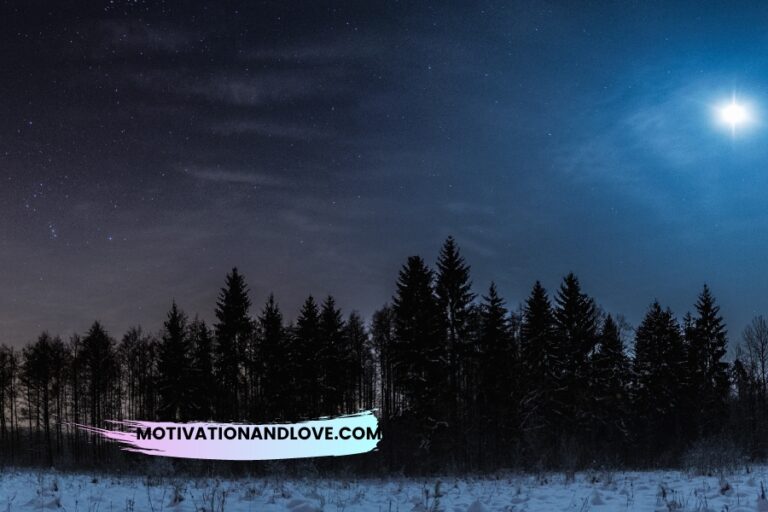 Calm Night Quotes - Motivation and Love